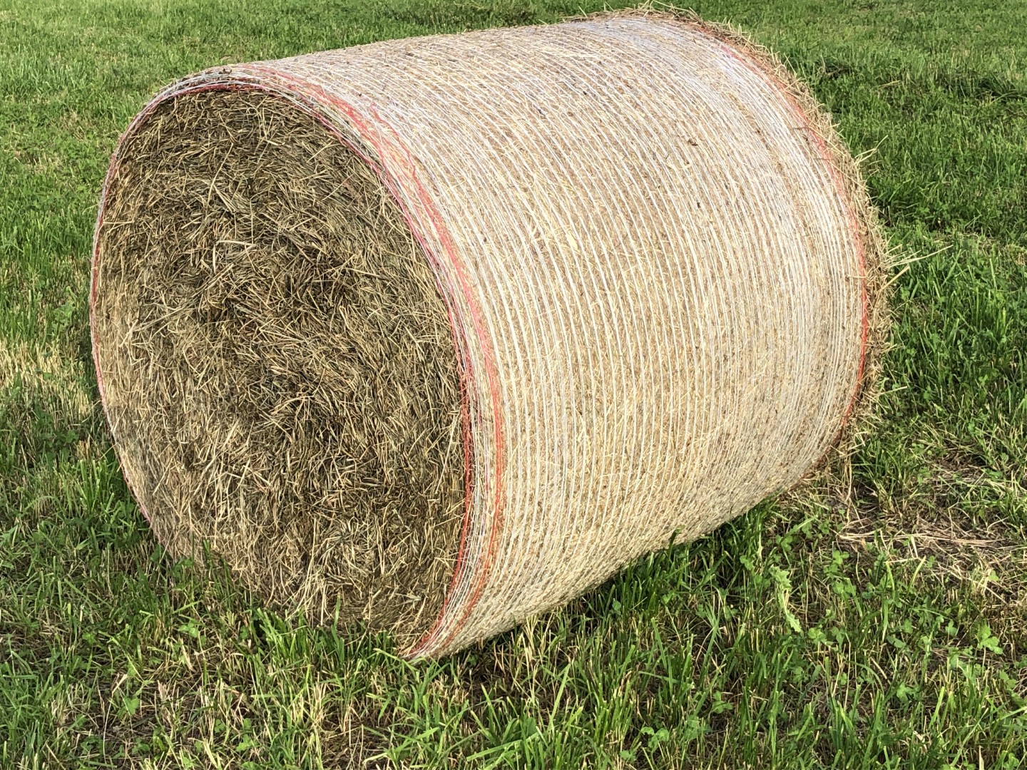 Fourrage - ferme-vuissoz.ch